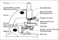 Free Vector Microscope With Labels Clip Art (1,000+ Vectors) - WooVector